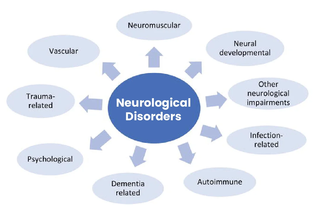 Top 5 Neurological Disorders: Symptoms and Warning Signs to Know | IBS