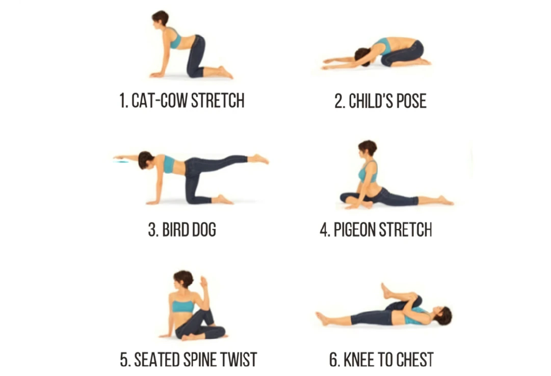 At-Home Lower Back Pain Relief Exercises | IBS Hospital