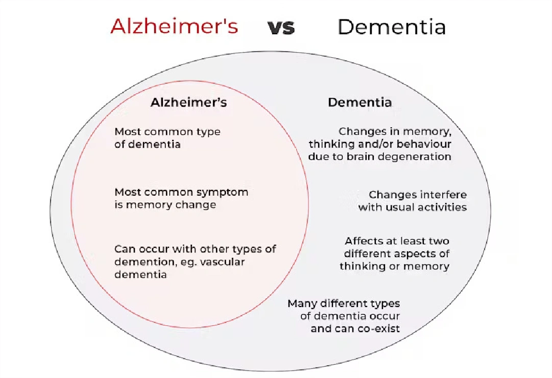 Alzheimer’s vs. Dementia: Key Differences | IBS Hospital
