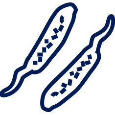 Epilepsy Treatment & Surgery Hospital in Delhi | IBS Hospitals