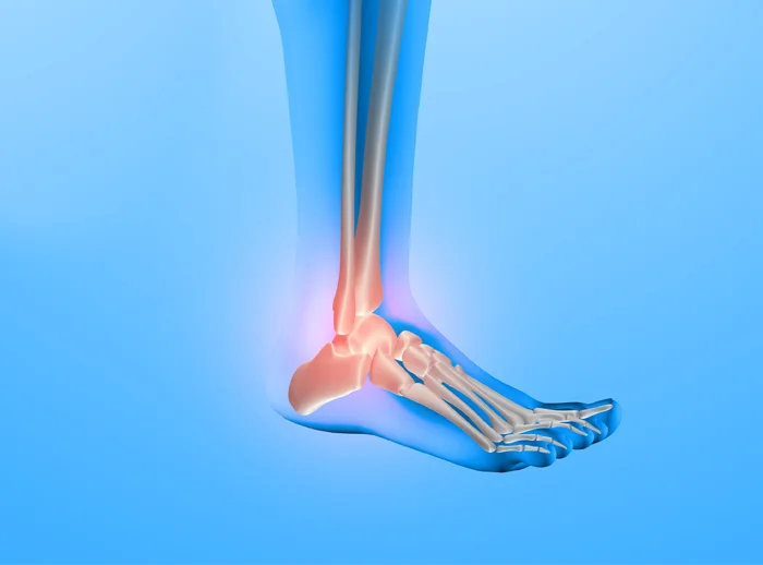 Ankle Arthroscopy | Department of Orthopaedics | IBS Hospital