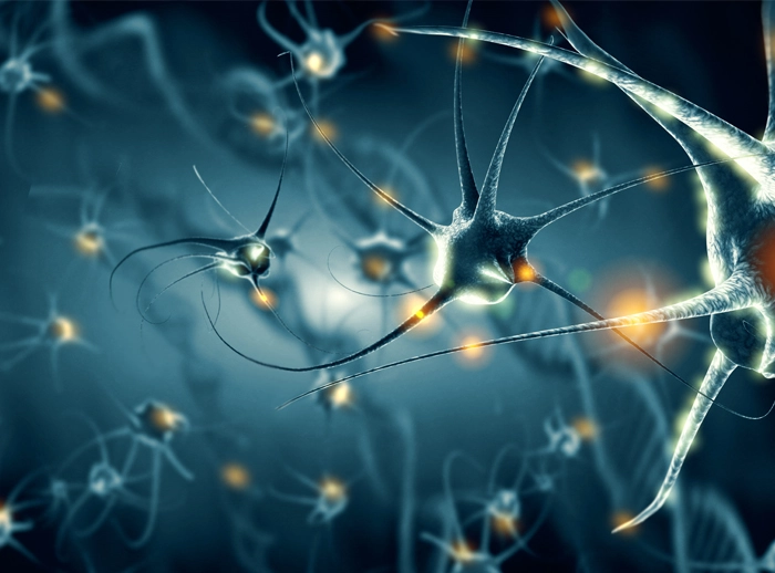 Sacral Nerve Stimulation Treatment in Delhi - IBS Hospital