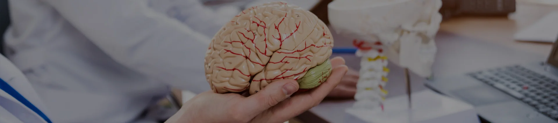 Dural Arteriovenous Fistula (DAF) Treatment - IBS Hospital