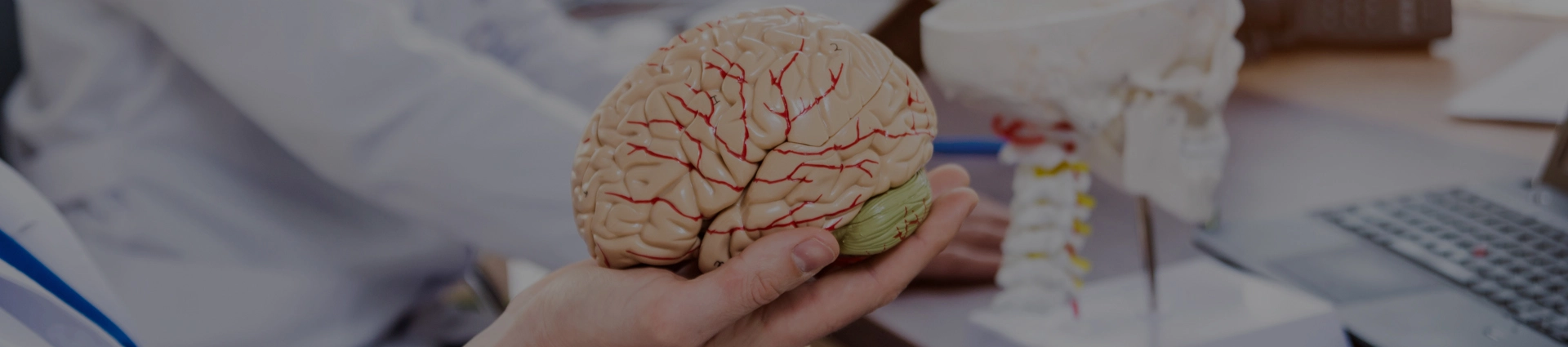 Brain Vascular Malformation: Types, Causes and Treatments