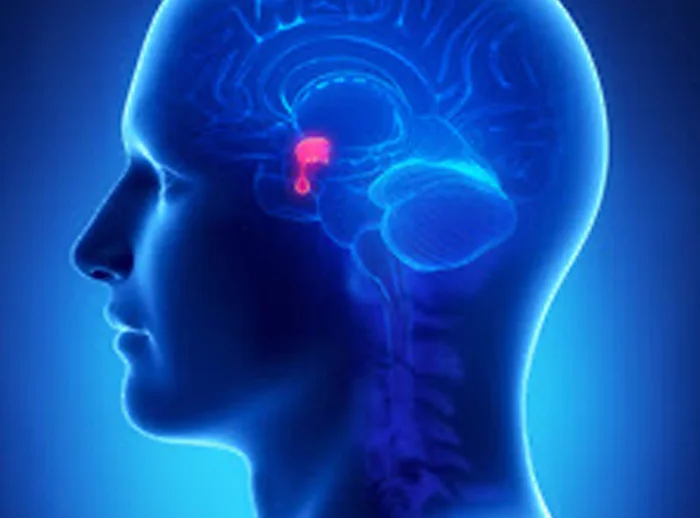 Get Best Endoscopic Brain Surgery Outcomes | IBS Hospital